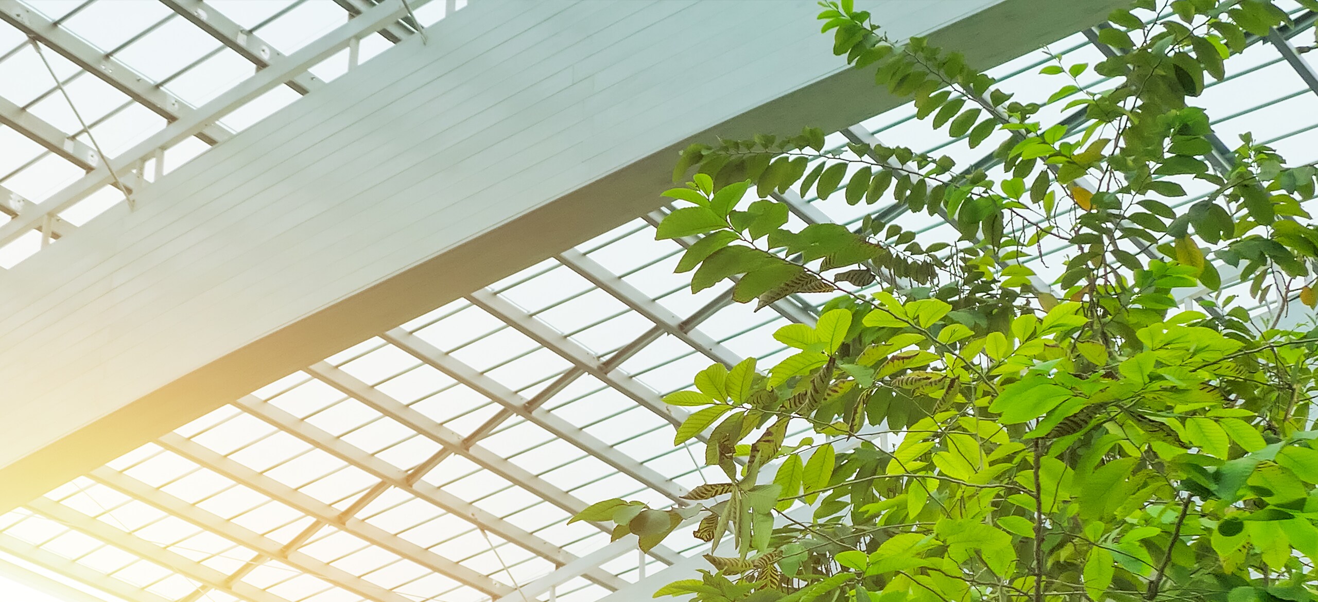 OpenBlue Clean Air Solutions for Commercial Premises | Johnson Controls